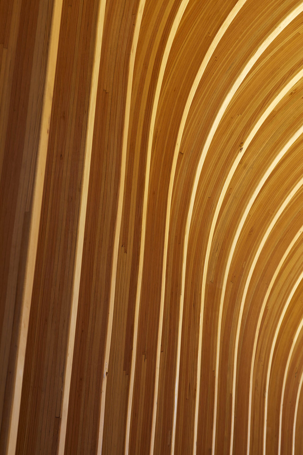 Seneca College Odeyto Indigenous Centre - INT Design