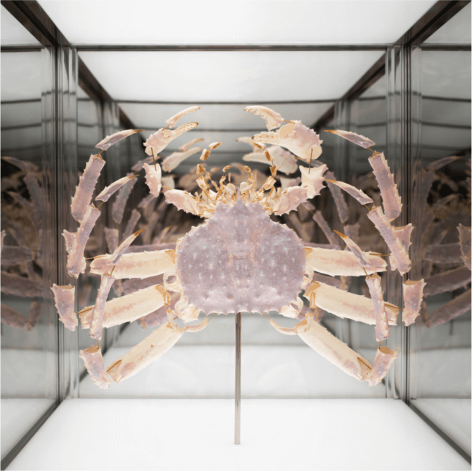 INT. EN VILLE : Restaurant Marcus, Four Seasons Montréal - INT Design