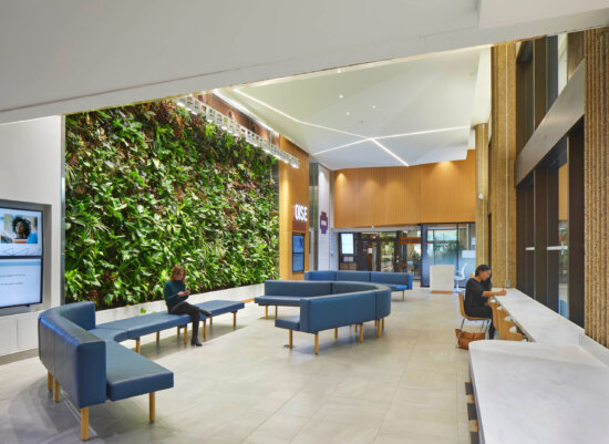 Ontario Institute for Studies in Education Lobby and Entrance - INT Design