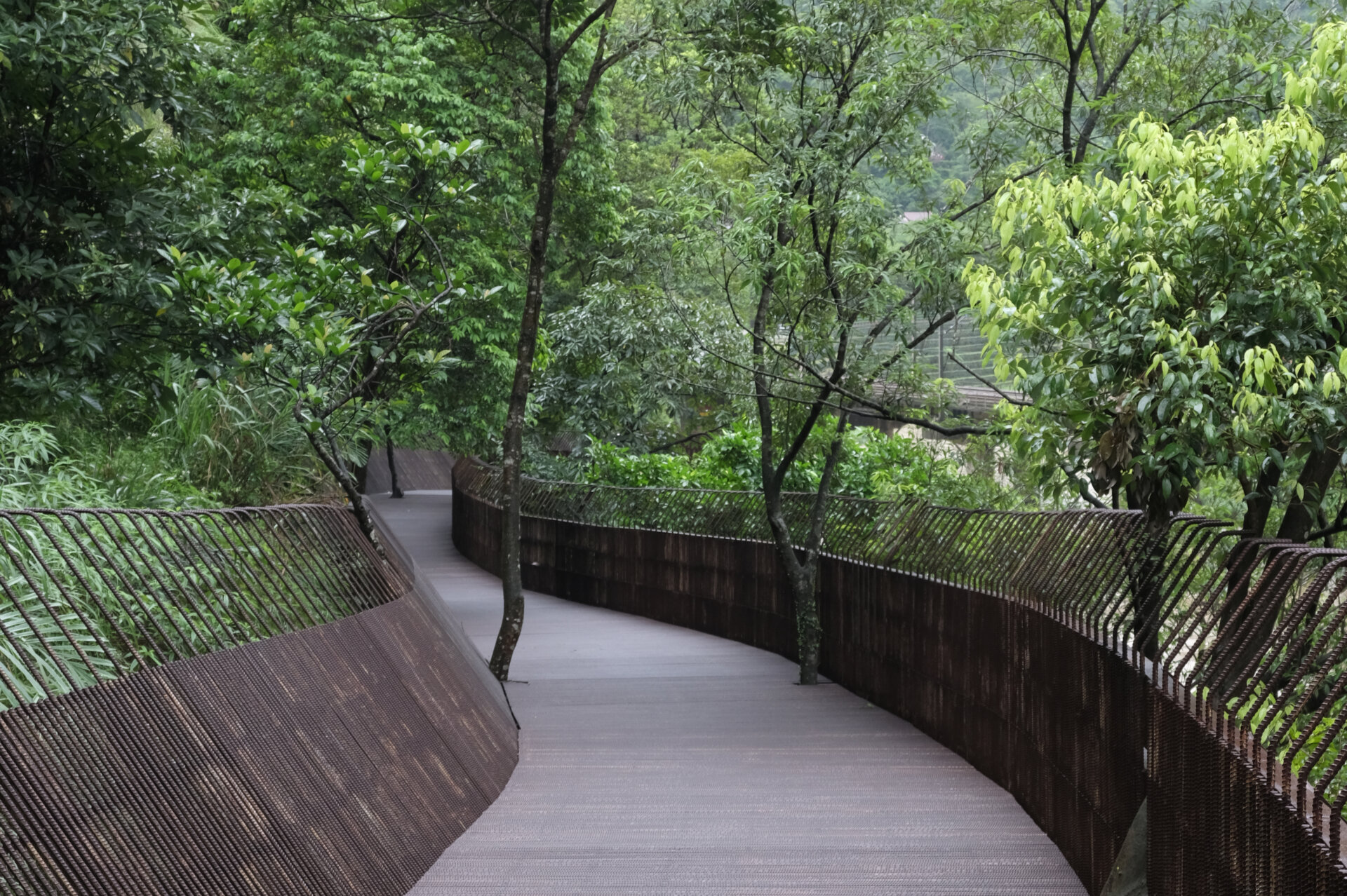 The Dark Line - INT Design