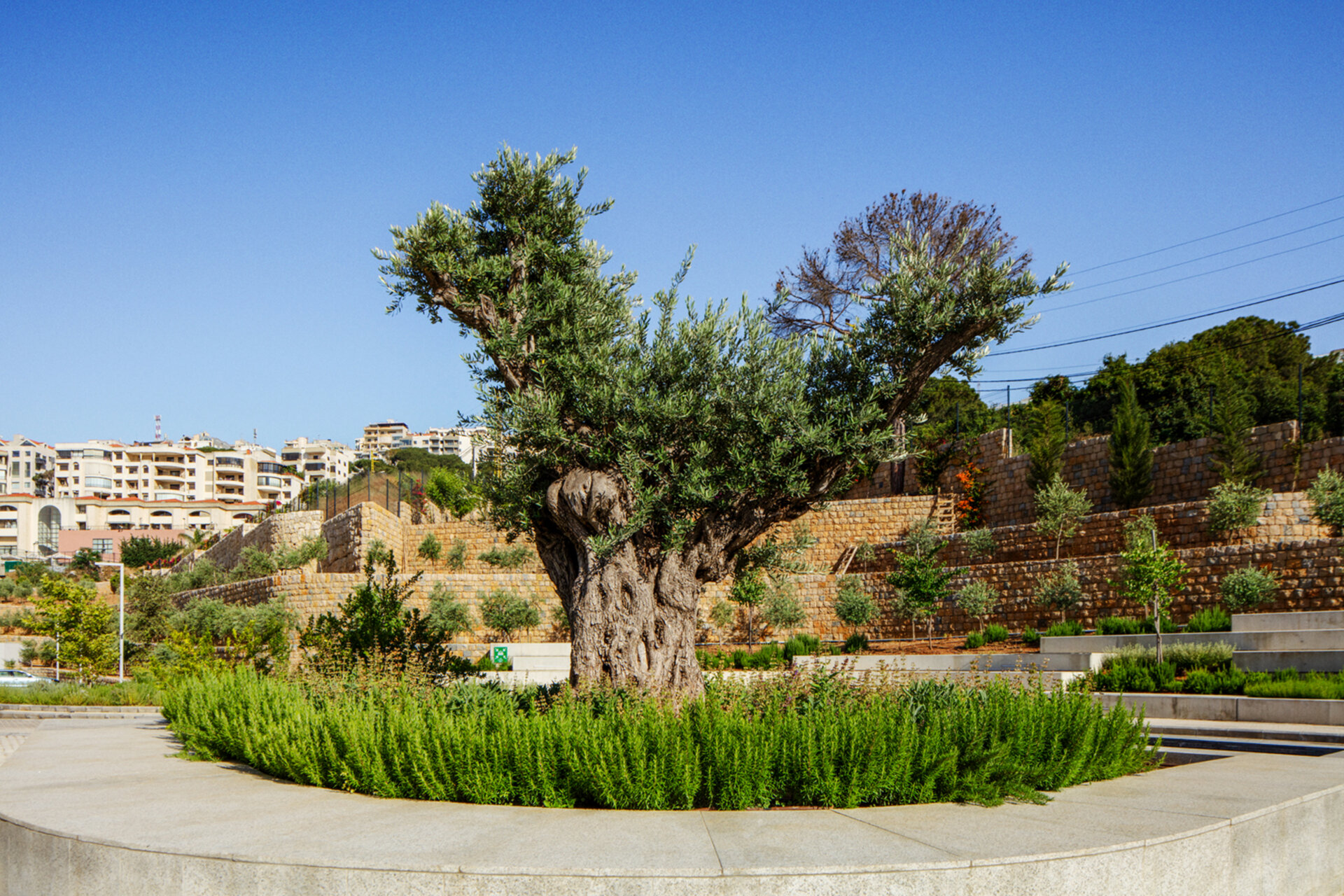 Algorithm Campus - INT Design