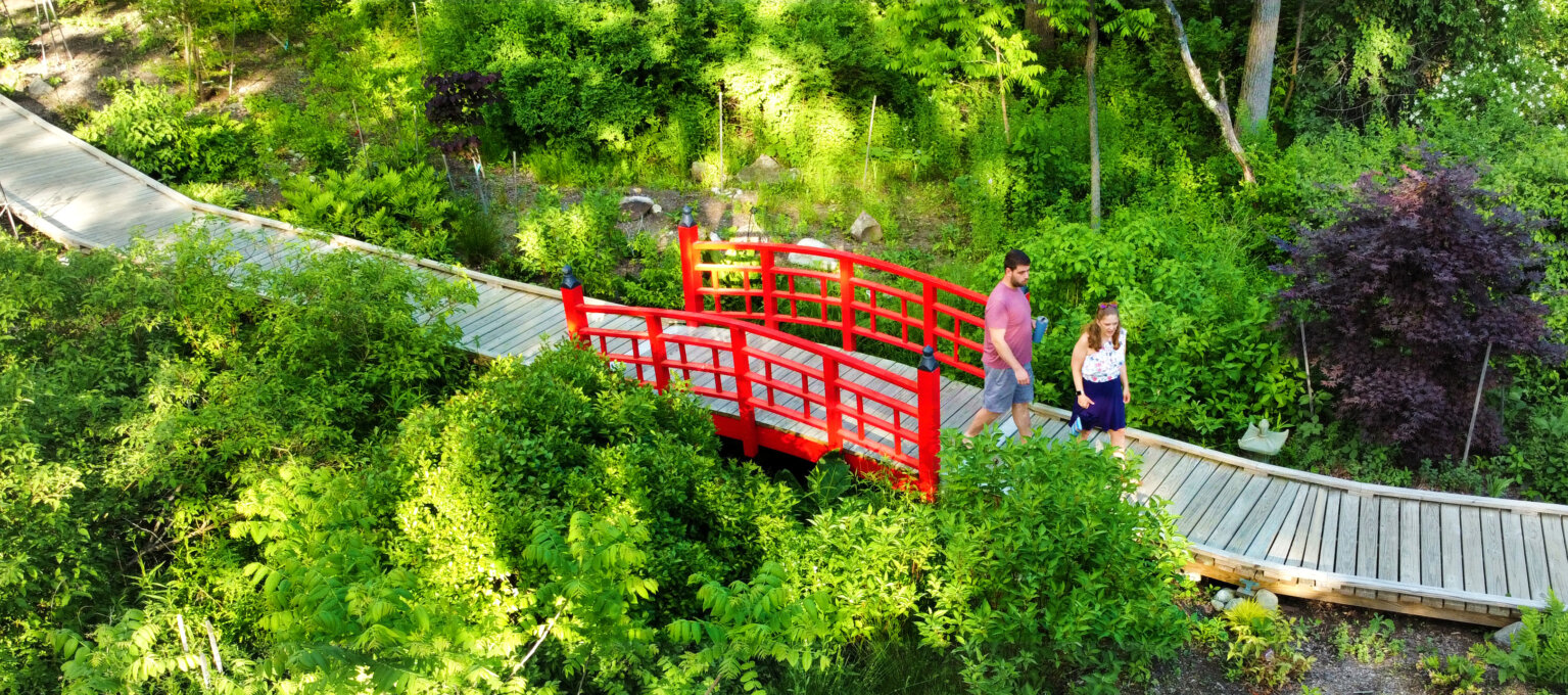 China Trail Garden at the Acton Arboretum - INT Design