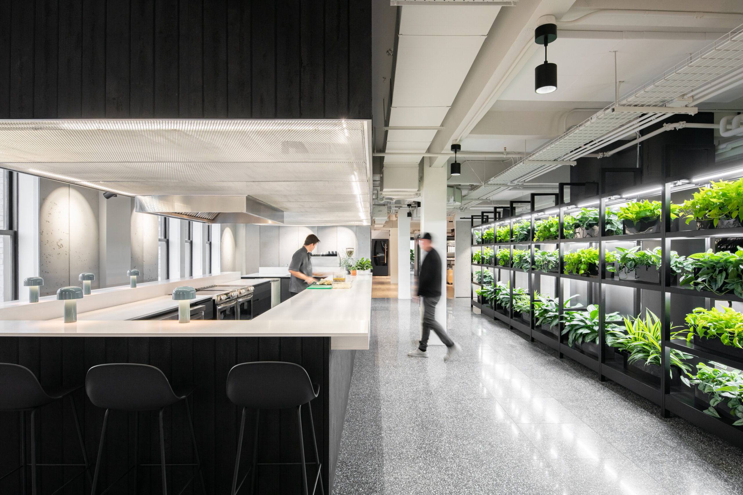 Ædifica – 407 McGill - INT Design