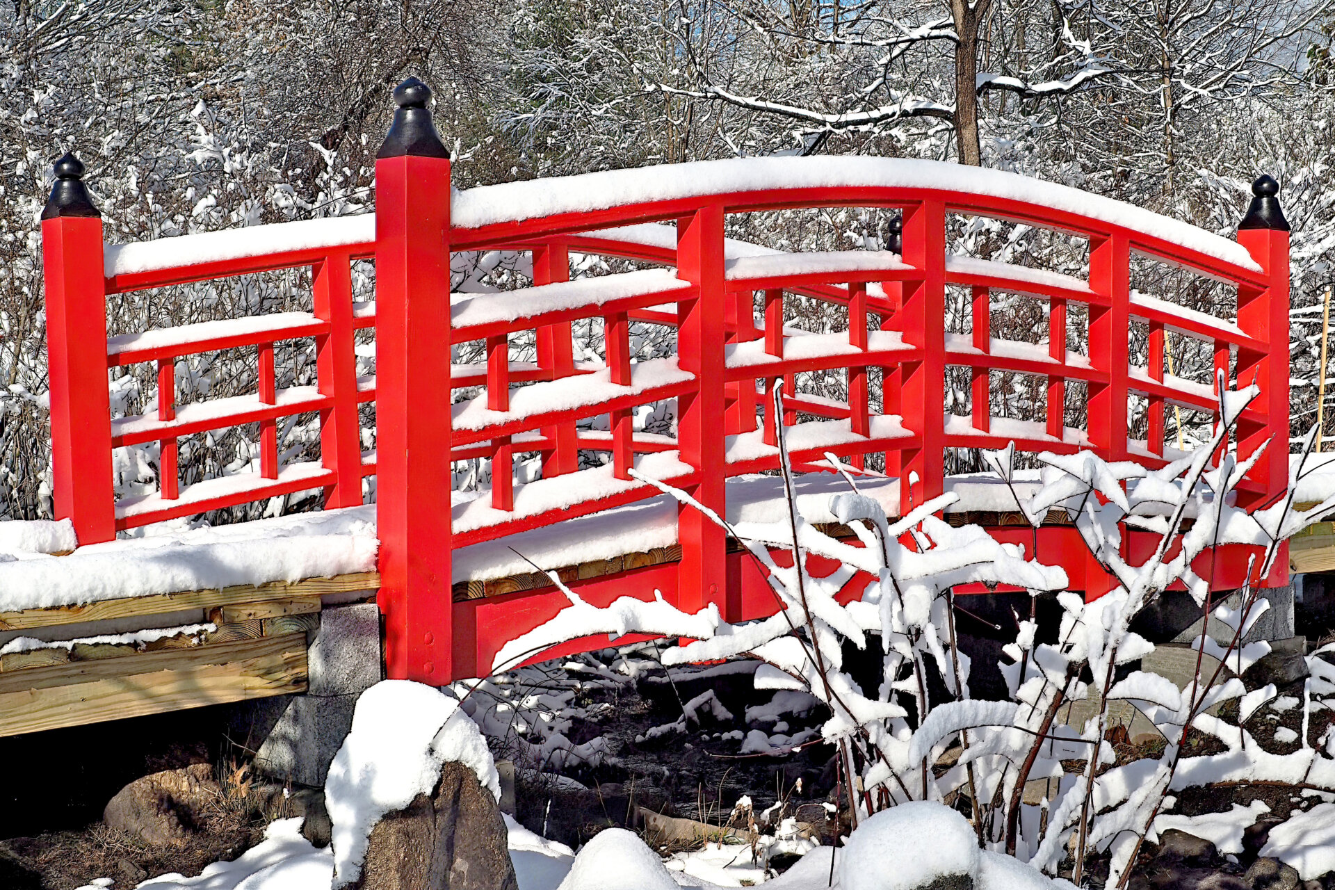 China Trail Garden at the Acton Arboretum - INT Design