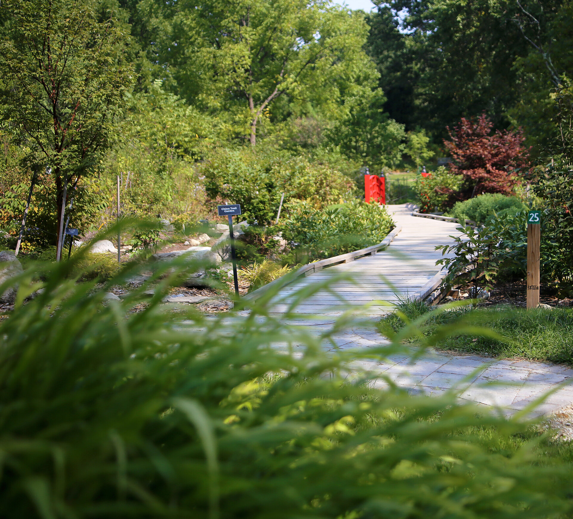 China Trail Garden at the Acton Arboretum - INT Design