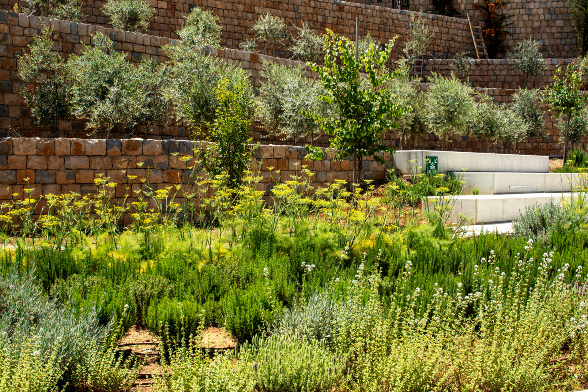 Algorithm Campus - INT Design