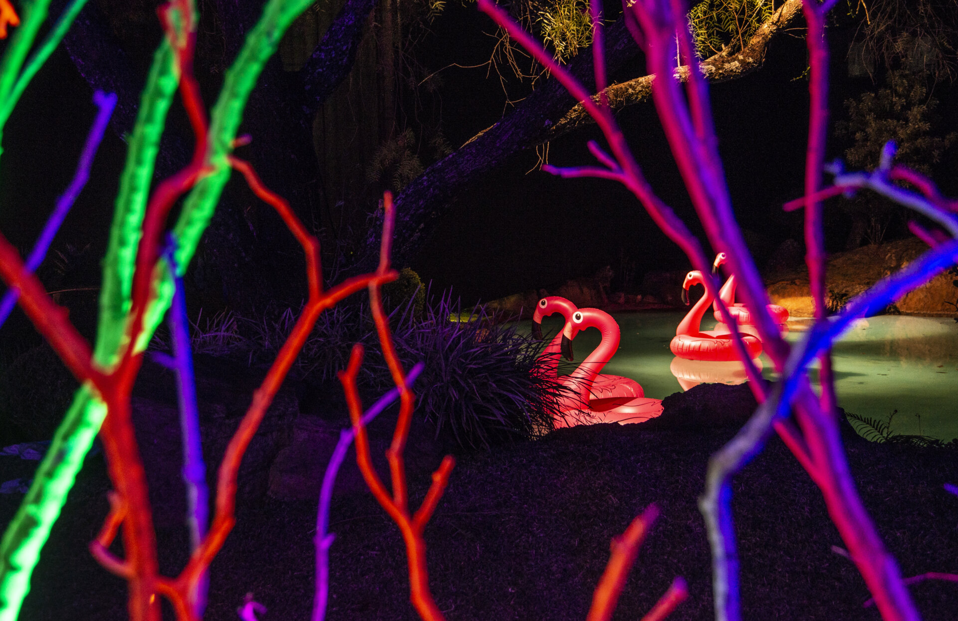 Simone Tomé – "Tout à coup 30! Oops 50! - INT Design