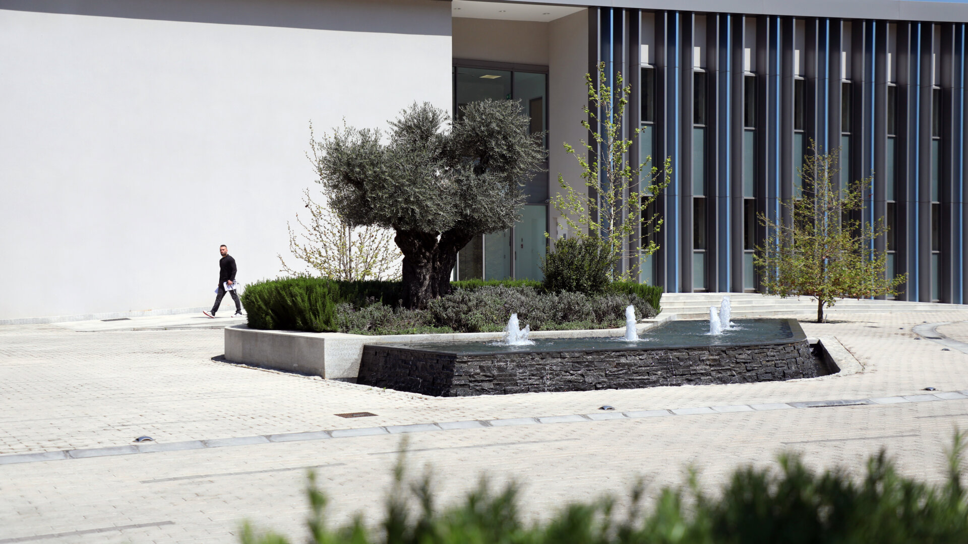 Algorithm Campus - INT Design