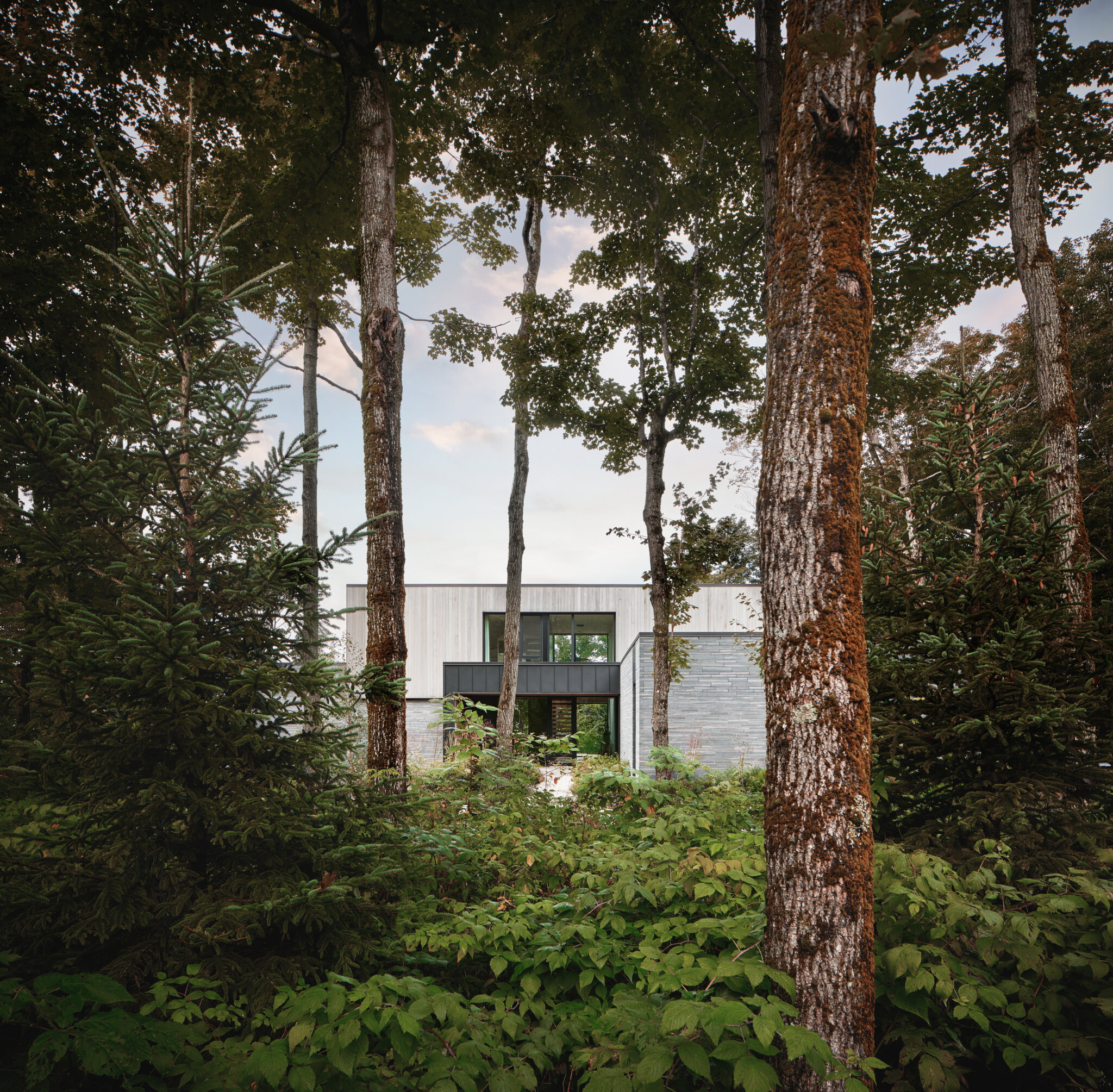 The Shefford House